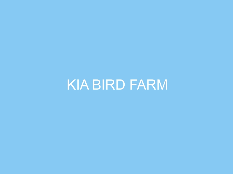 Kia Bird Farm - exploreyogya.com