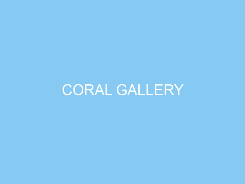 Coral Gallery - exploreyogya.com